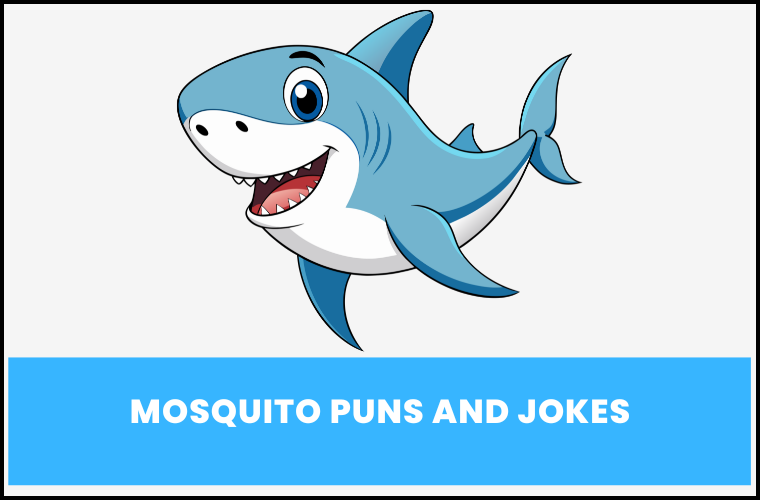 Shark Puns and Jokes That Will Make a Splash!
