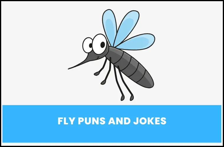 210+ Buzz-Worthy Fly Puns and Jokes to Make You Laugh!