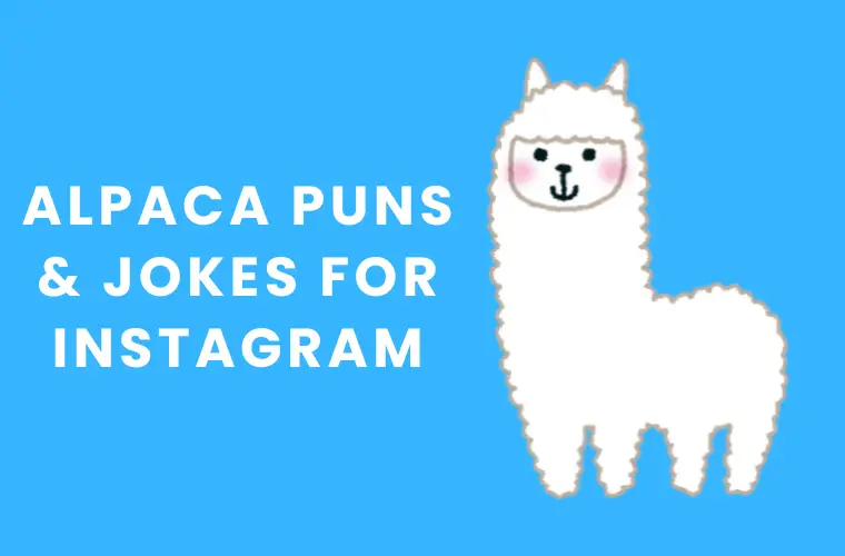 255+ Alpaca Puns and Jokes: Hilarious Laughs You’ll Love!