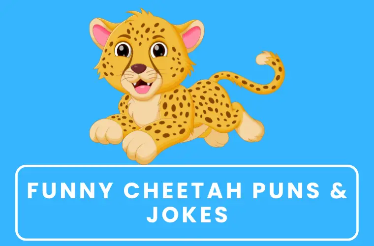 150+ Fast, Funny & Fierce: Cheetah Puns and Jokes for You