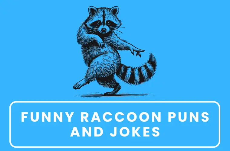 Raccoon-tastic Puns & Jokes to Make You Giggle!