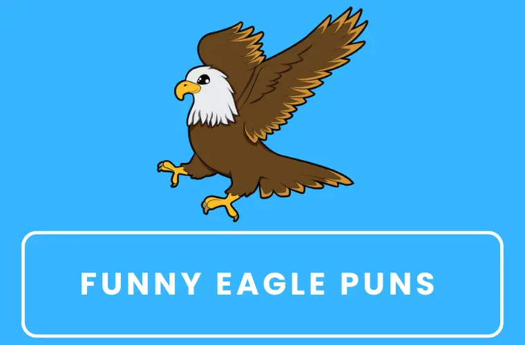 200+ Eagle Jokes-Laugh Out Loud with these Puns