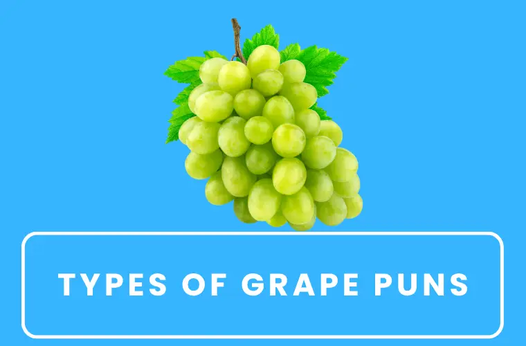 190+ Grape Puns to Make You Snort with Laughter